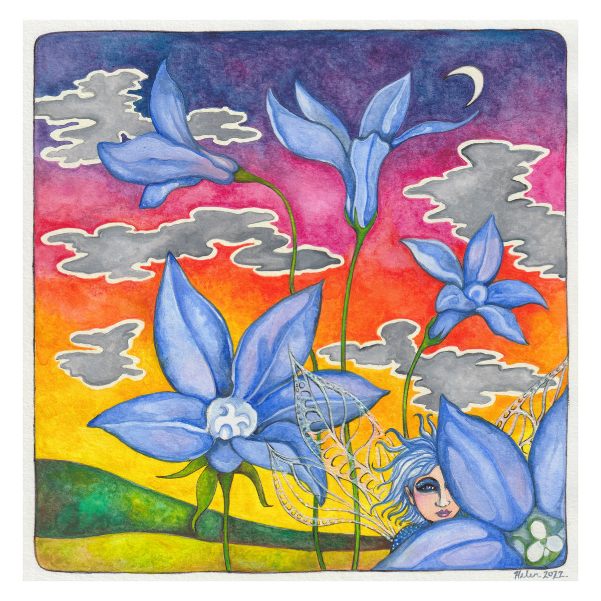 "Introducing Bluebell" Fine Art Print – Helen G Pearson Art